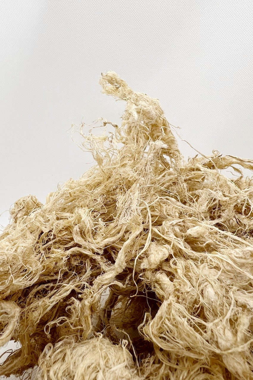 aos-20 | "o-aka" ramie fiber – Habu Textiles