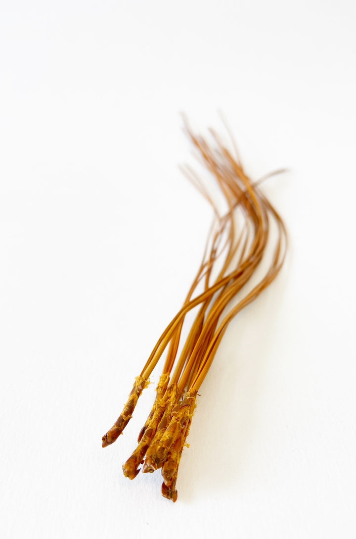 everything – Habu Textiles
